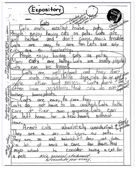 Opinion Writing Grade 4 Cats Opinion Writing Grade 4 Cats
